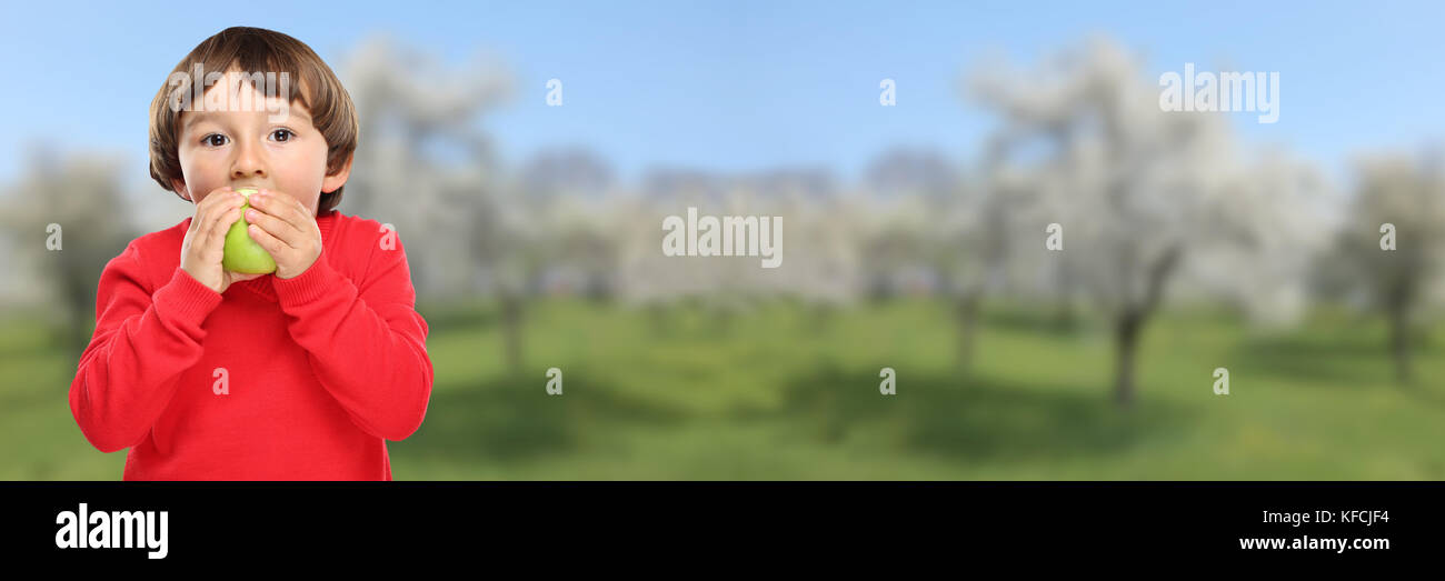 Apple eating child kid green fruit banner copyspace healthy copy space ...