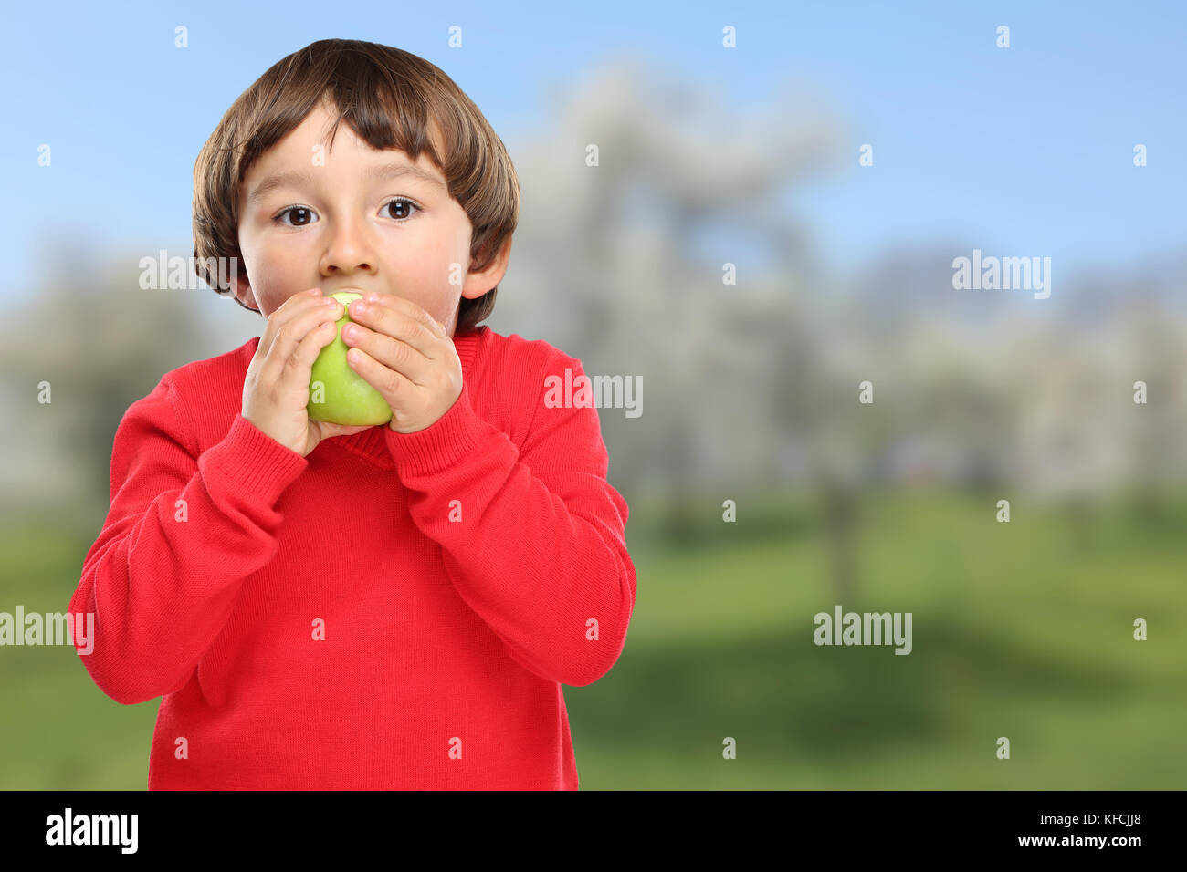 Apple eating child kid green fruit healthy food boy Stock Photo - Alamy