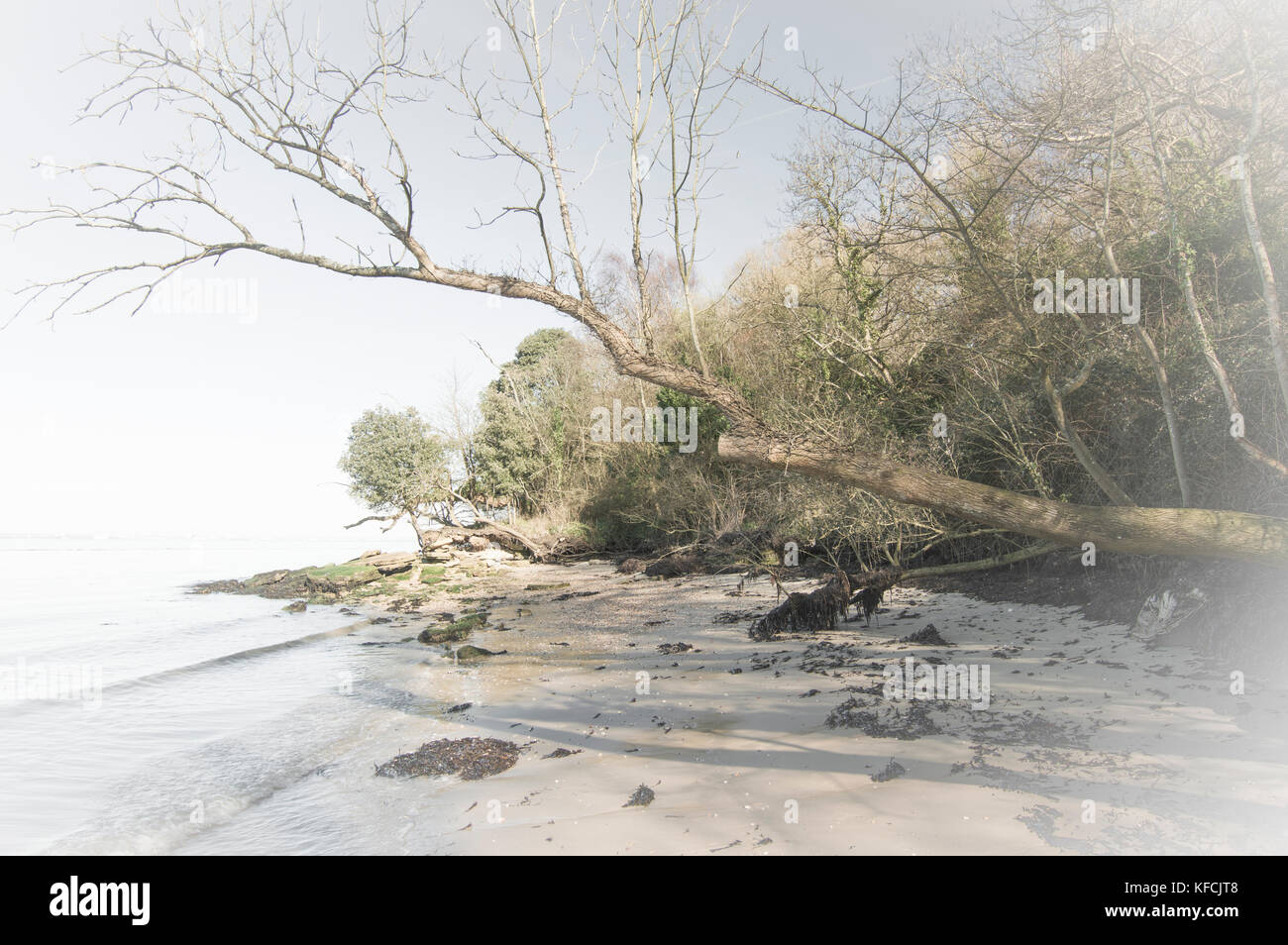 Muted colours beach/desert island scene, tropical, photo Stock Photo ...