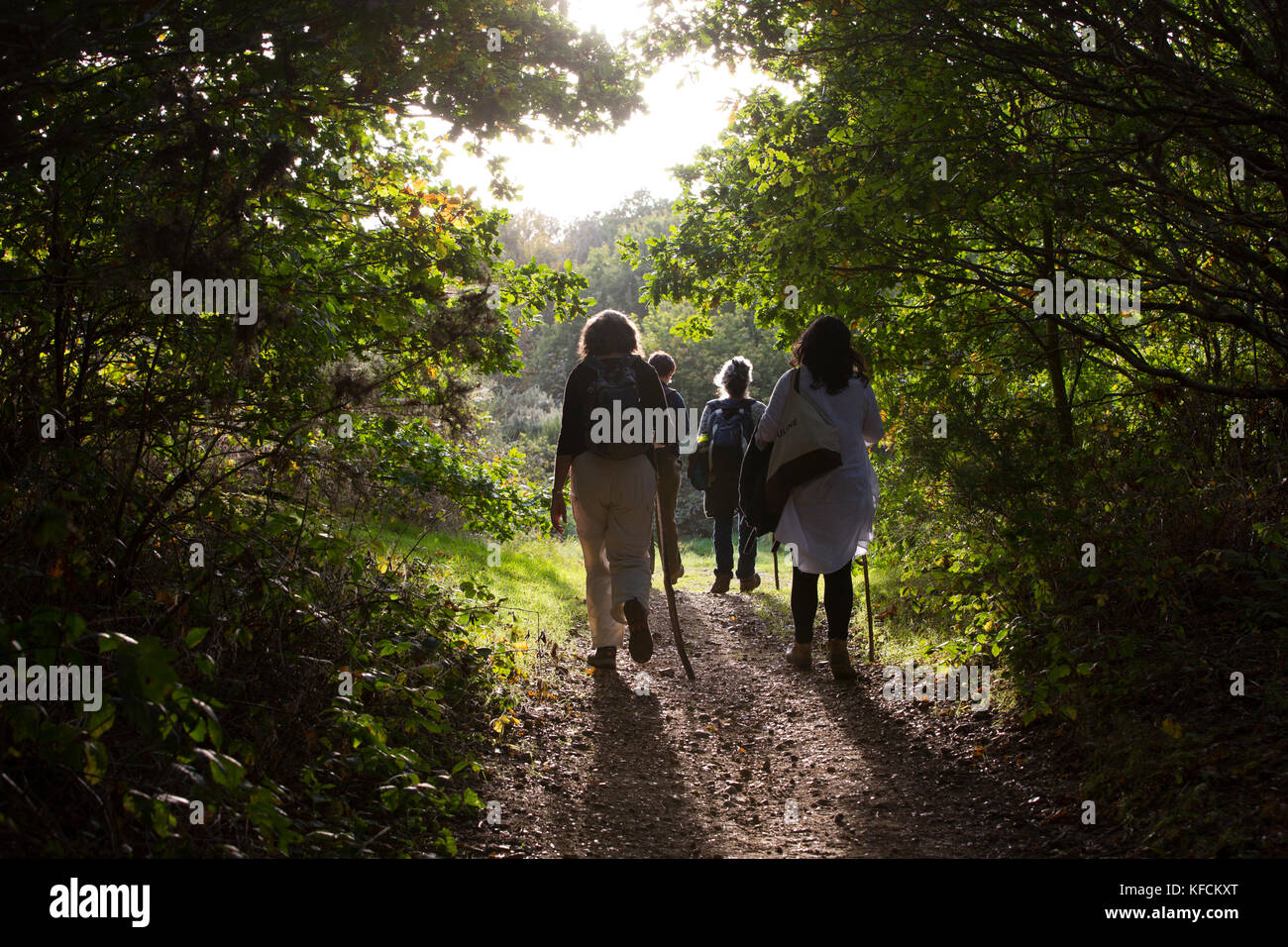 Pilgrimage to Canterbury, part of the Old Walk 220-mile pilgrims' route ...