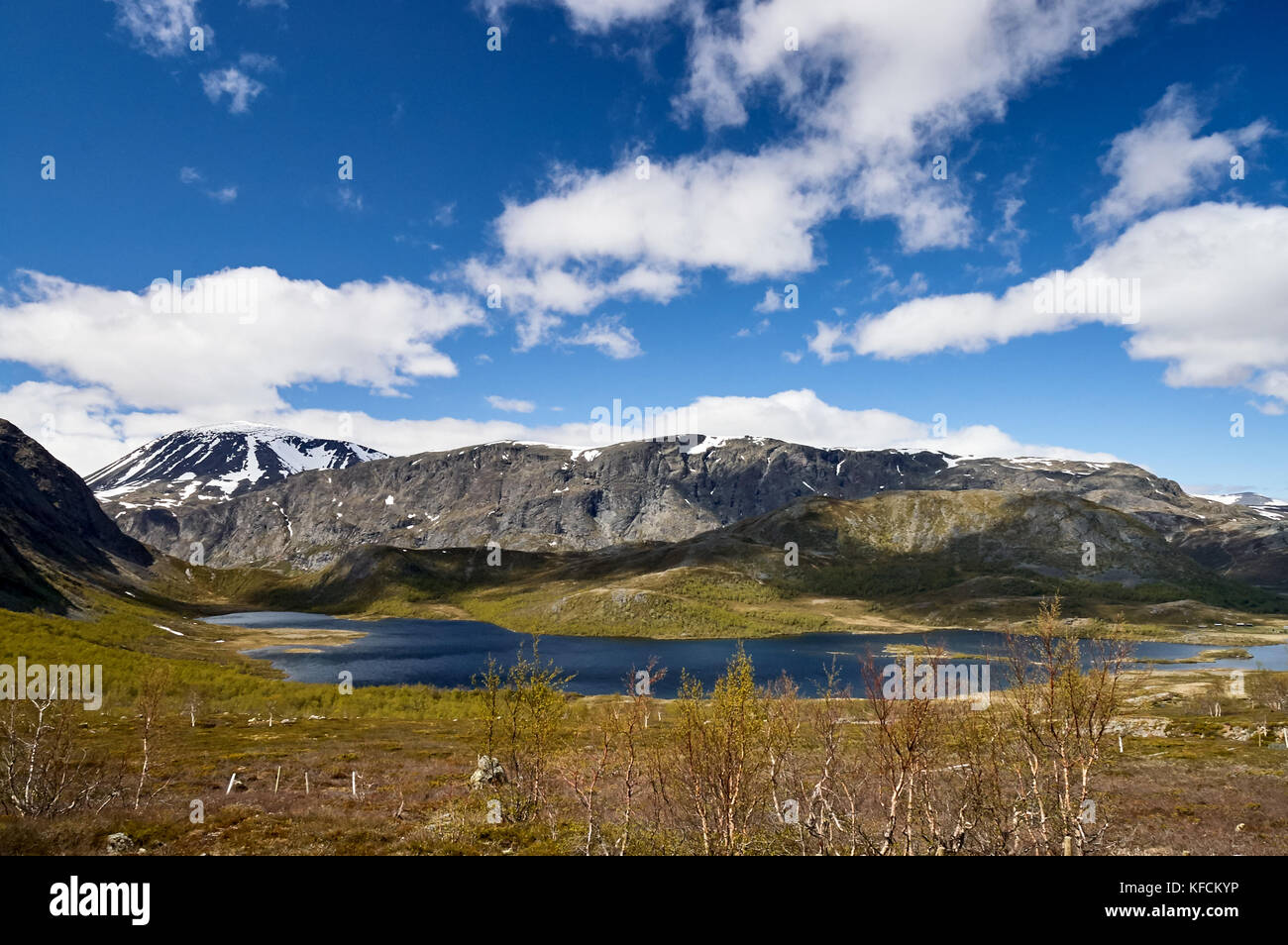 Slightly snow covered landscape hi-res stock photography and images - Alamy