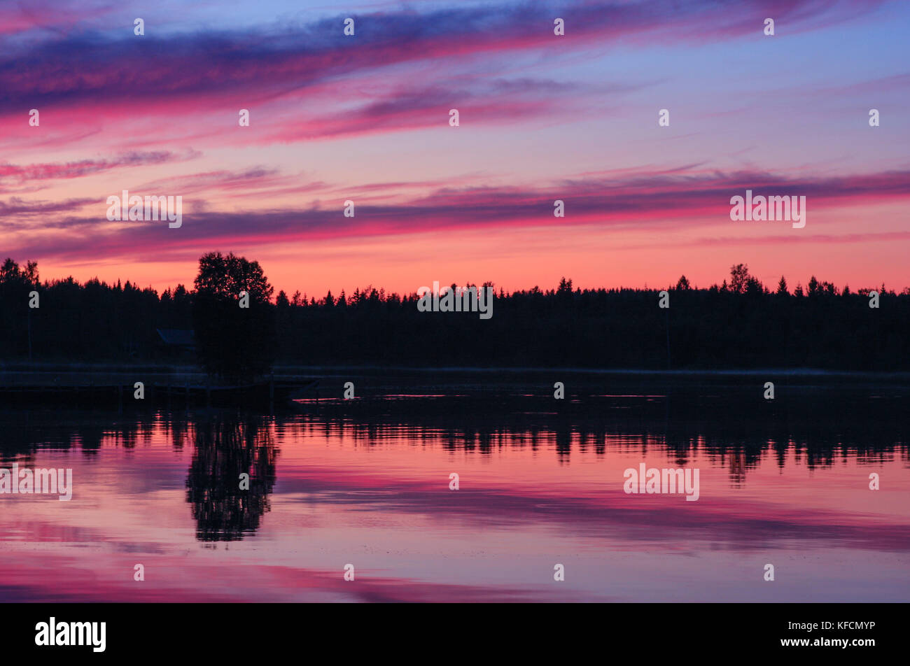 Nordic night with Nordic light in June and July. Forest, wood opposite ...