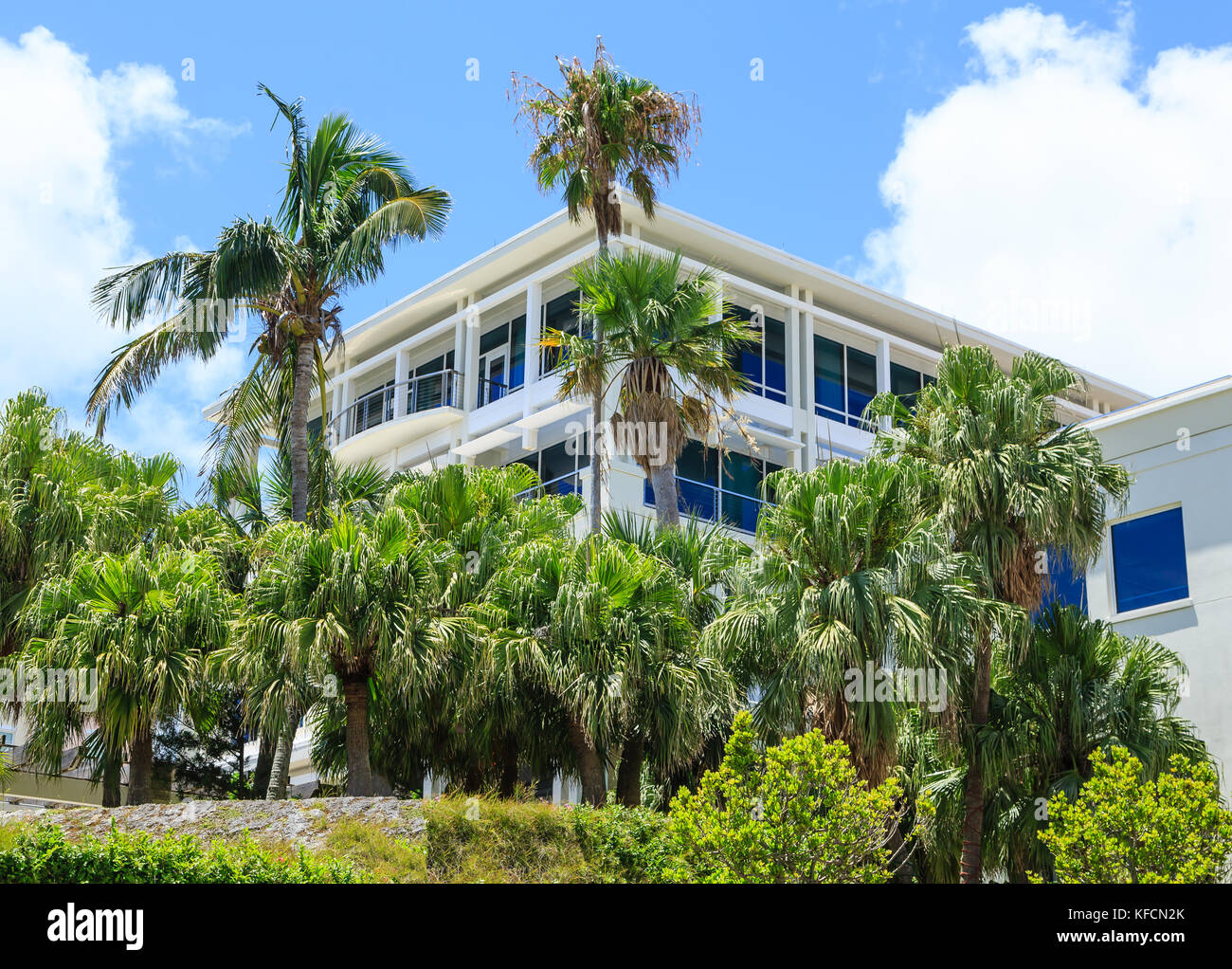 Palm Trees by White Hotel in Bermuda Stock Photo - Alamy