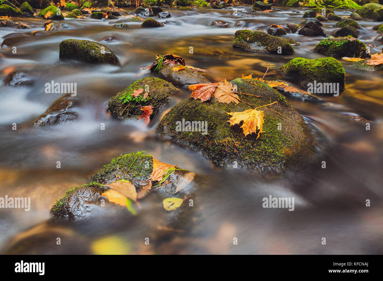 Stones in river hi-res stock photography and images - Alamy