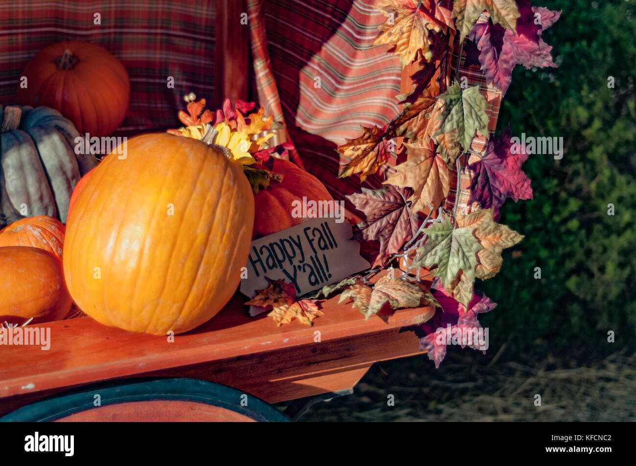 Fall images hi-res stock photography and images - Alamy