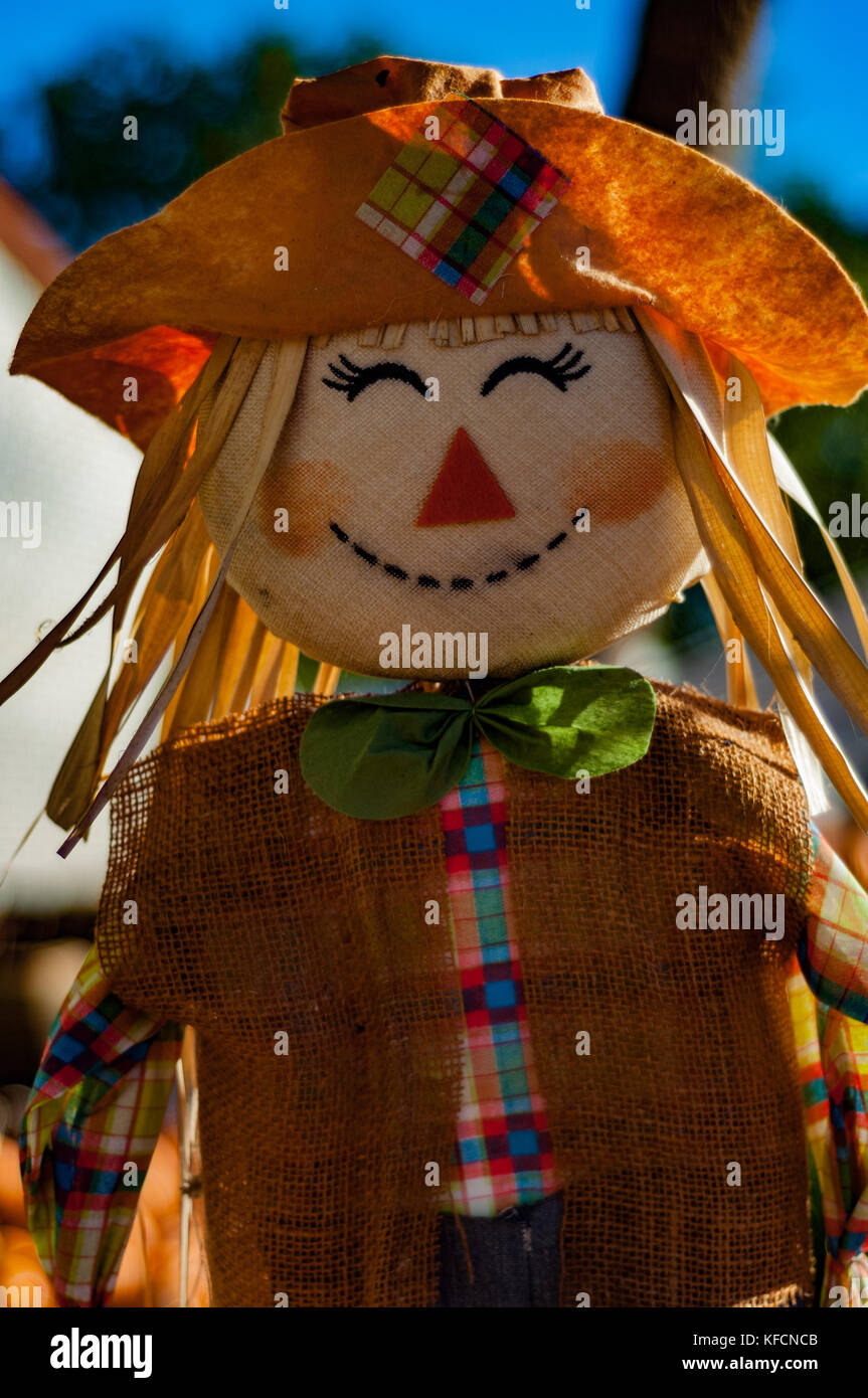 Scare crows hi-res stock photography and images - Alamy