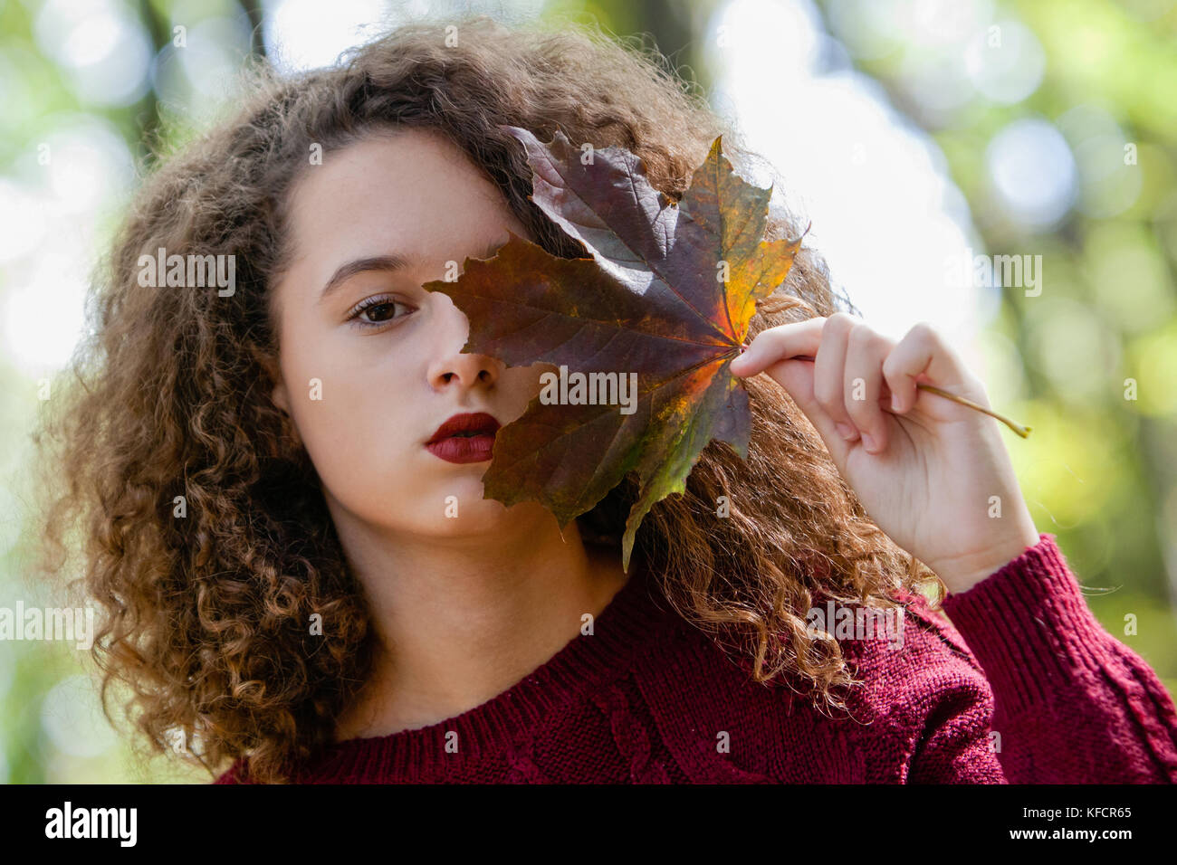 Curly maple hi-res stock photography and images - Alamy