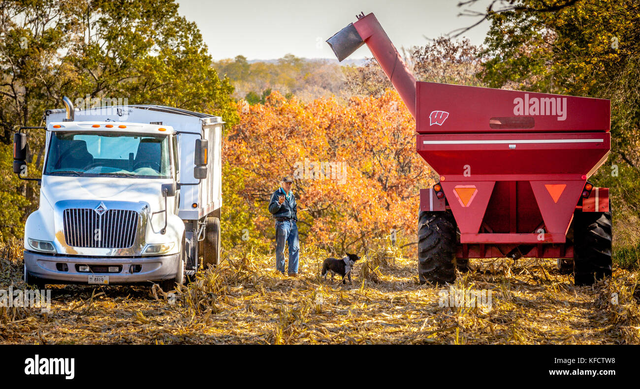 A man on a cell phone speaker standing between a white grain semi truck ...