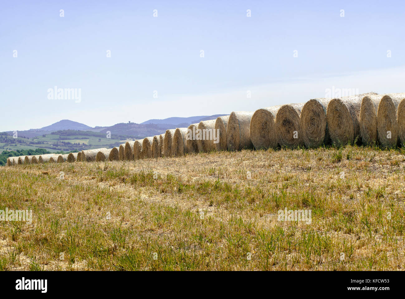 Hay bales in Orcia valley,Tuscany,Italy Stock Photo - Alamy