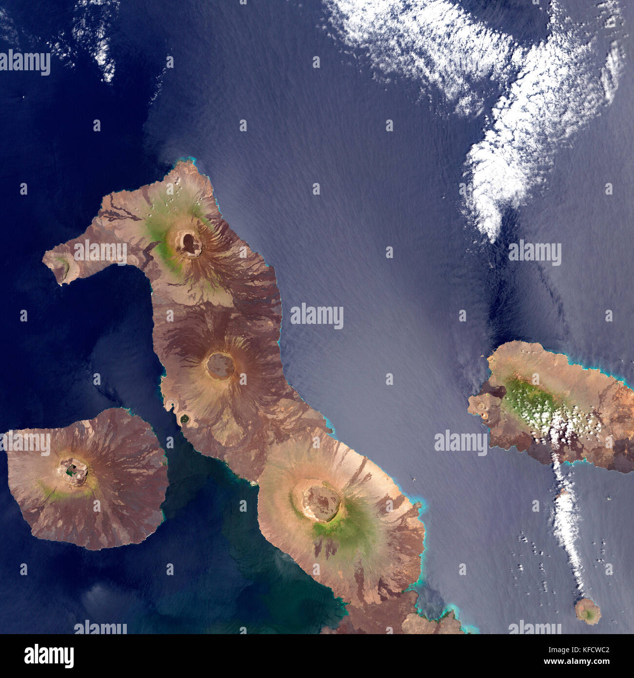 Galapagos volcano isabela wolf hi-res stock photography and images - Alamy