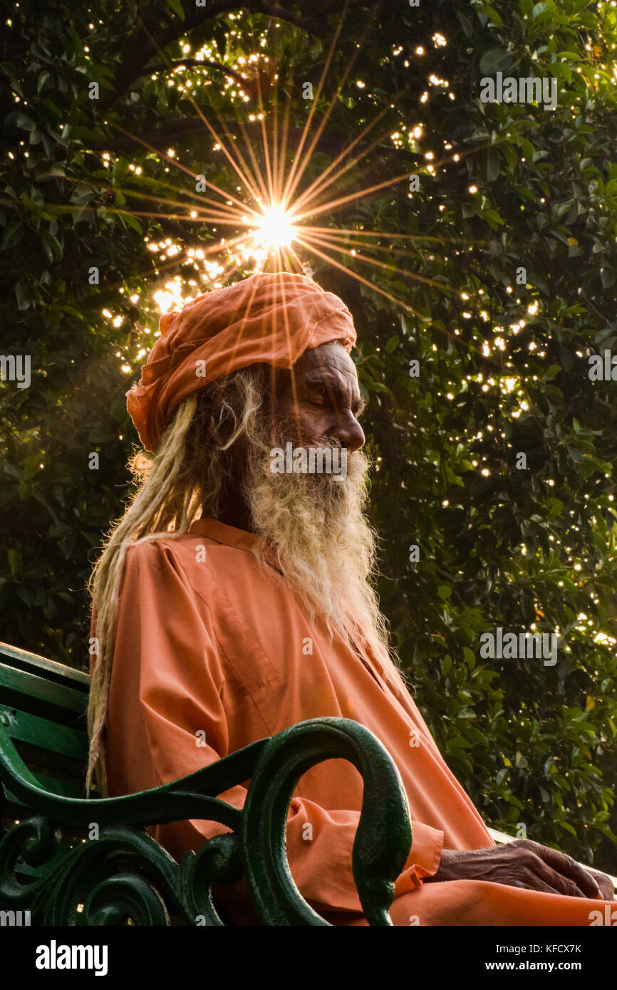 The sun follower hi-res stock photography and images - Alamy