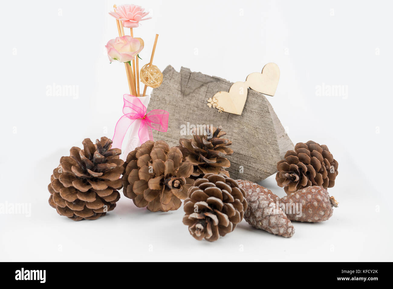 on the white background, pine cocoon and decor Stock Photo - Alamy