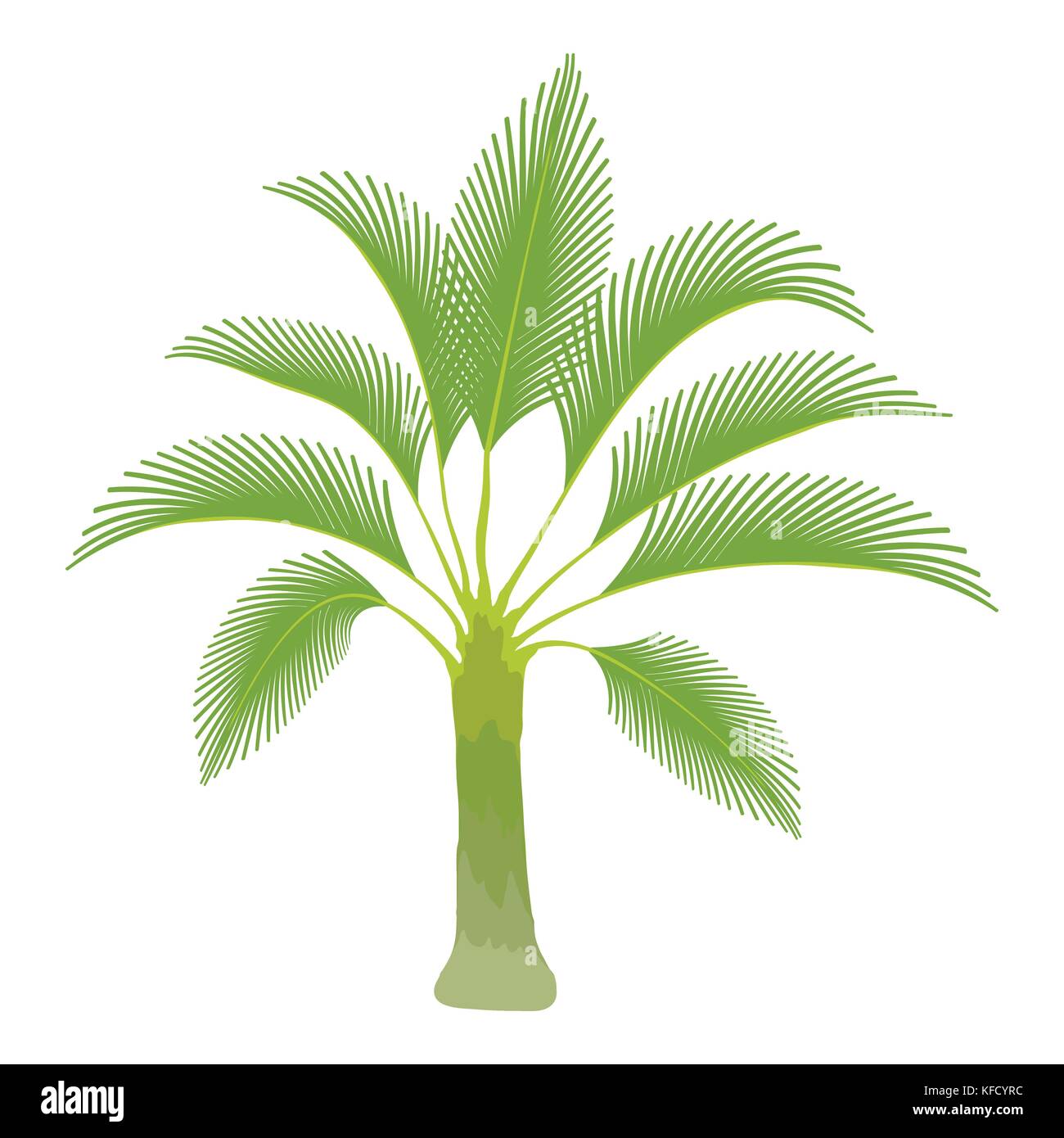Spreading palm icon, cartoon style Stock Vector Image & Art - Alamy