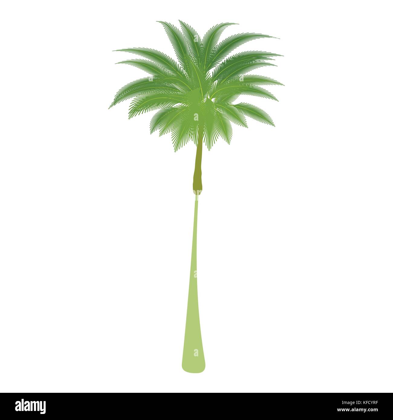 Thin palm tree icon, cartoon style Stock Vector Image & Art - Alamy