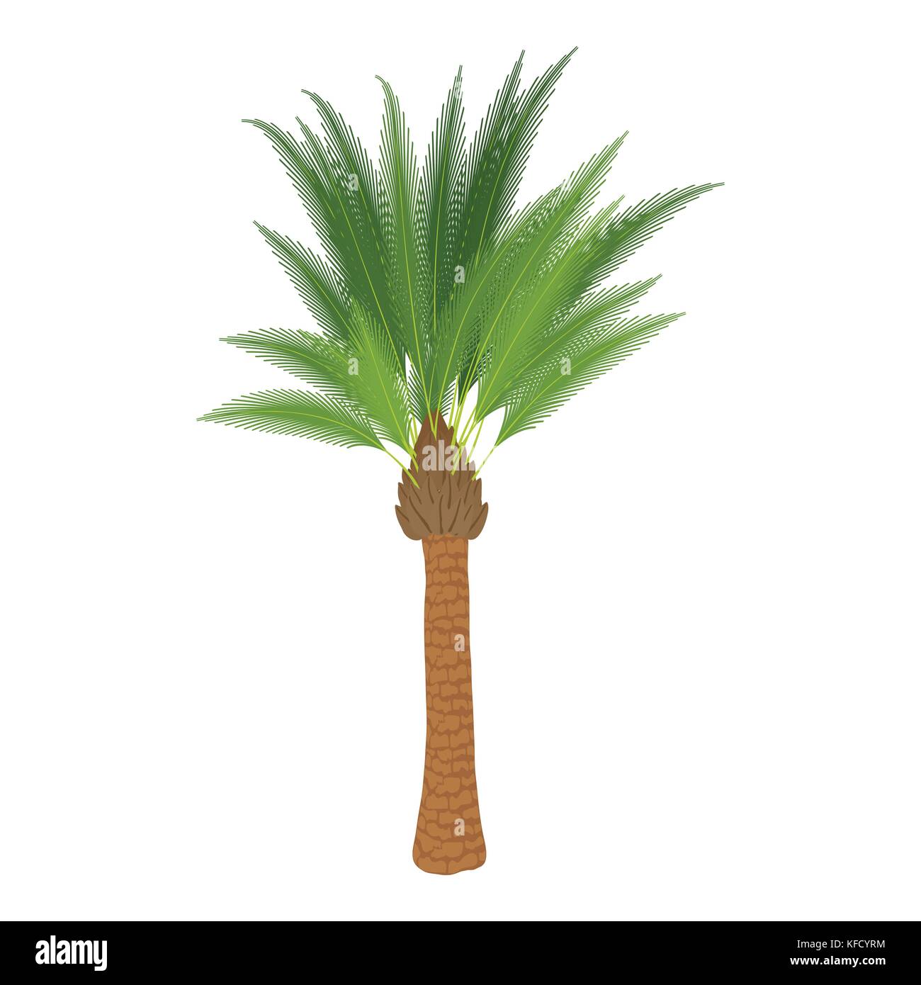 Traditional palm icon, cartoon style Stock Vector Image & Art - Alamy