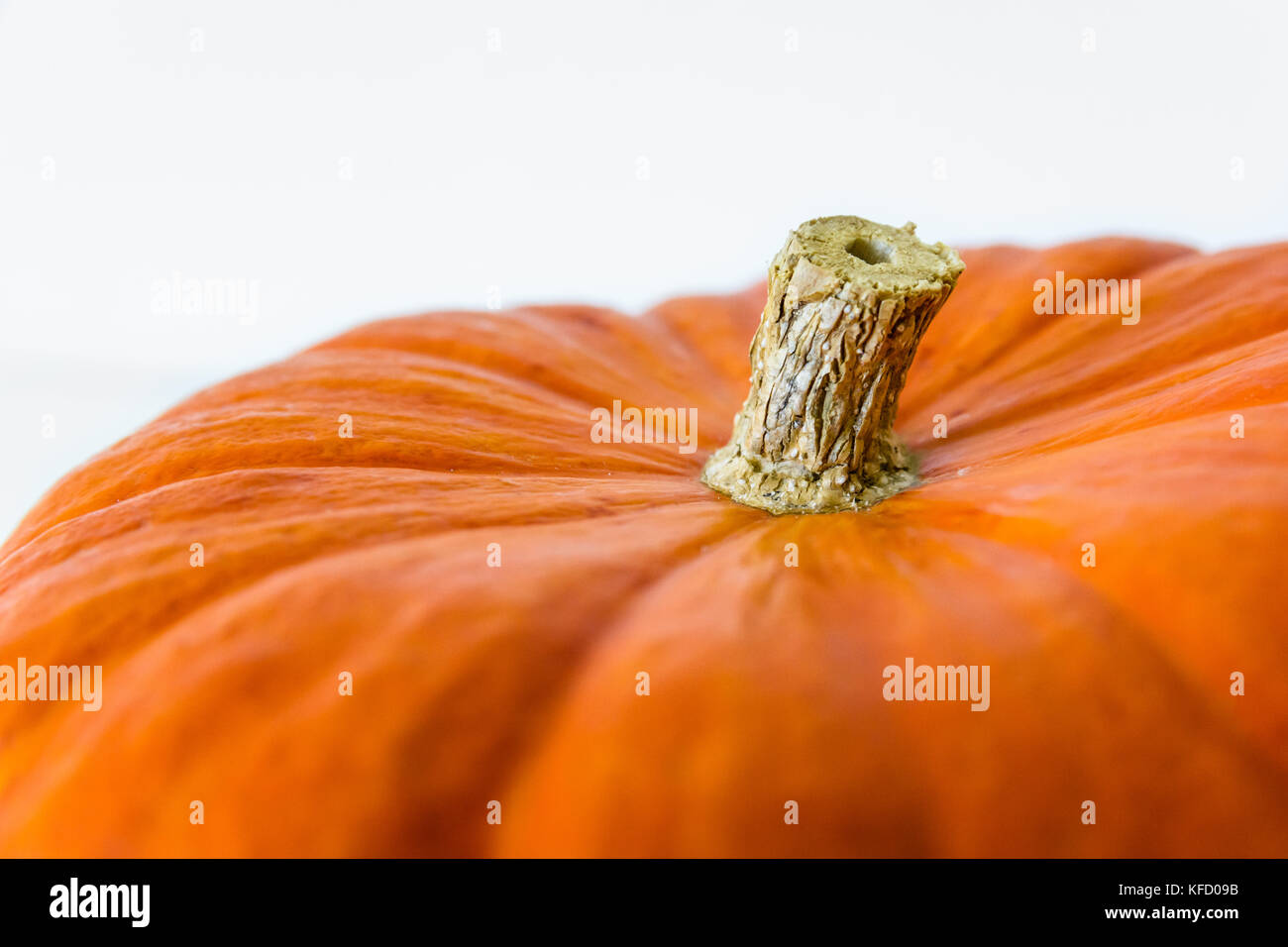 Close-up view with shallow depth of field of the top of a bright orange ...