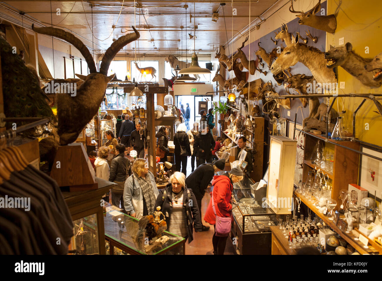 Paxton gate san francisco hi-res stock photography and images - Alamy
