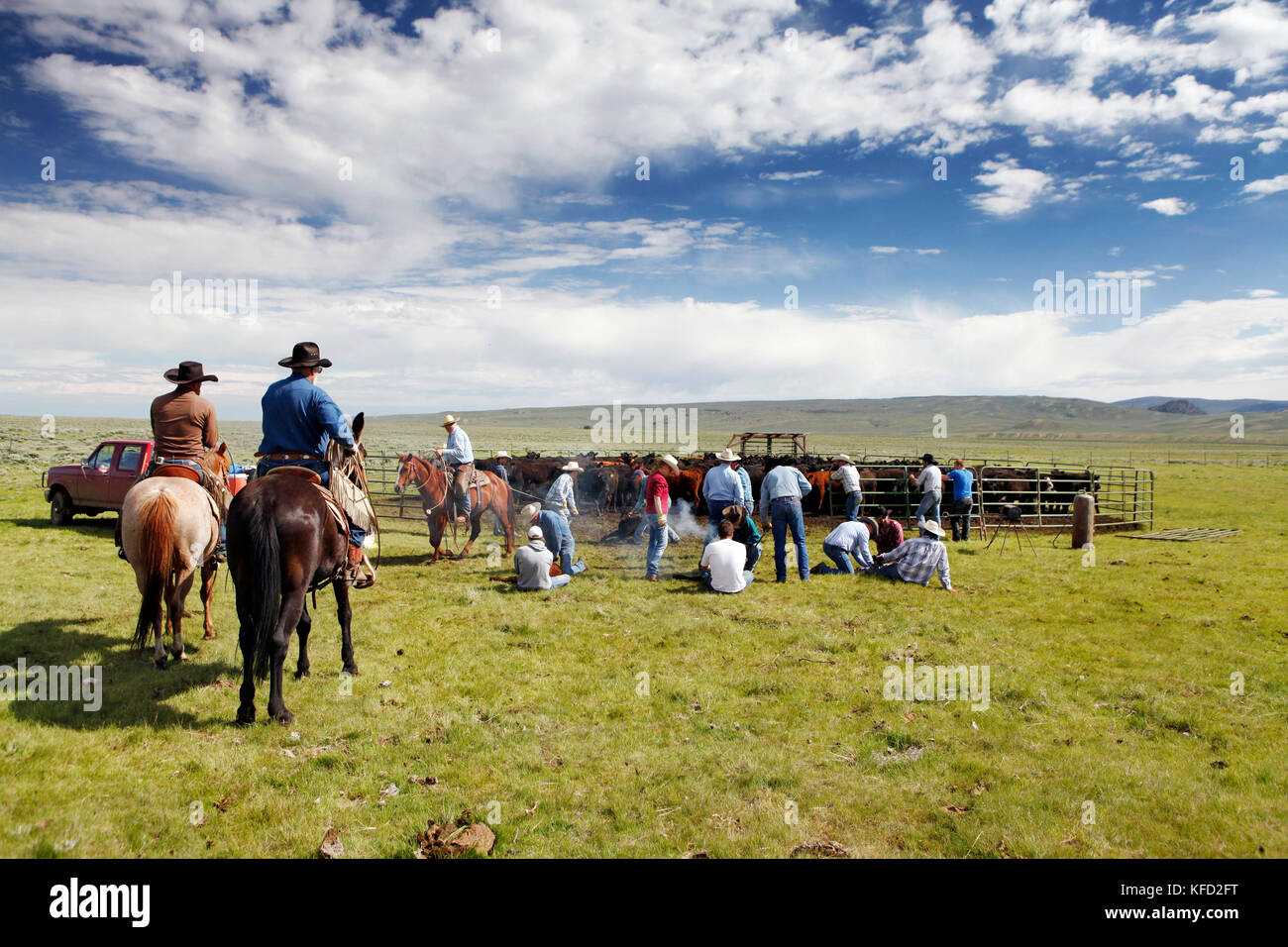 Ranch Brands In Wyoming