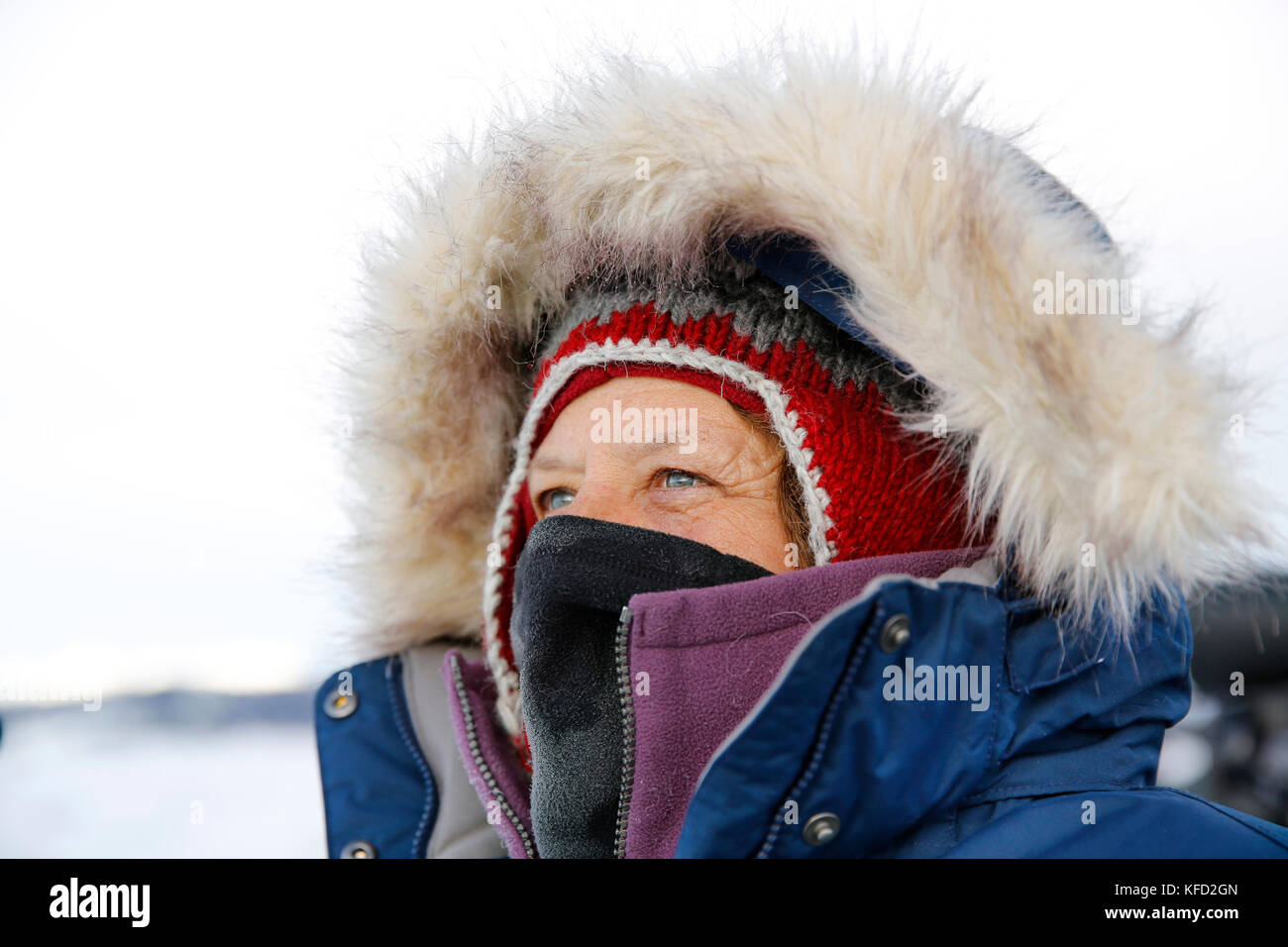 USA, Wyoming, Yellowstone National Park, wolf-watcher Chrissy Beckhurst ...