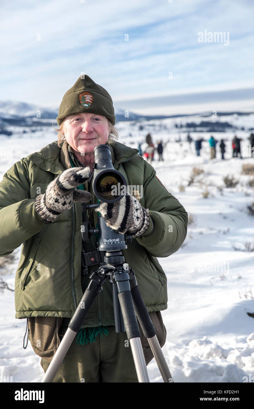 USA, Wyoming, Yellowstone National Park, Rick McIntyre, the dean of ...