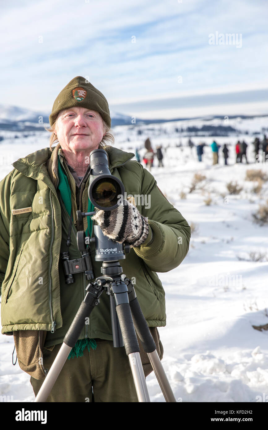 USA, Wyoming, Yellowstone National Park, Rick McIntyre, the dean of ...