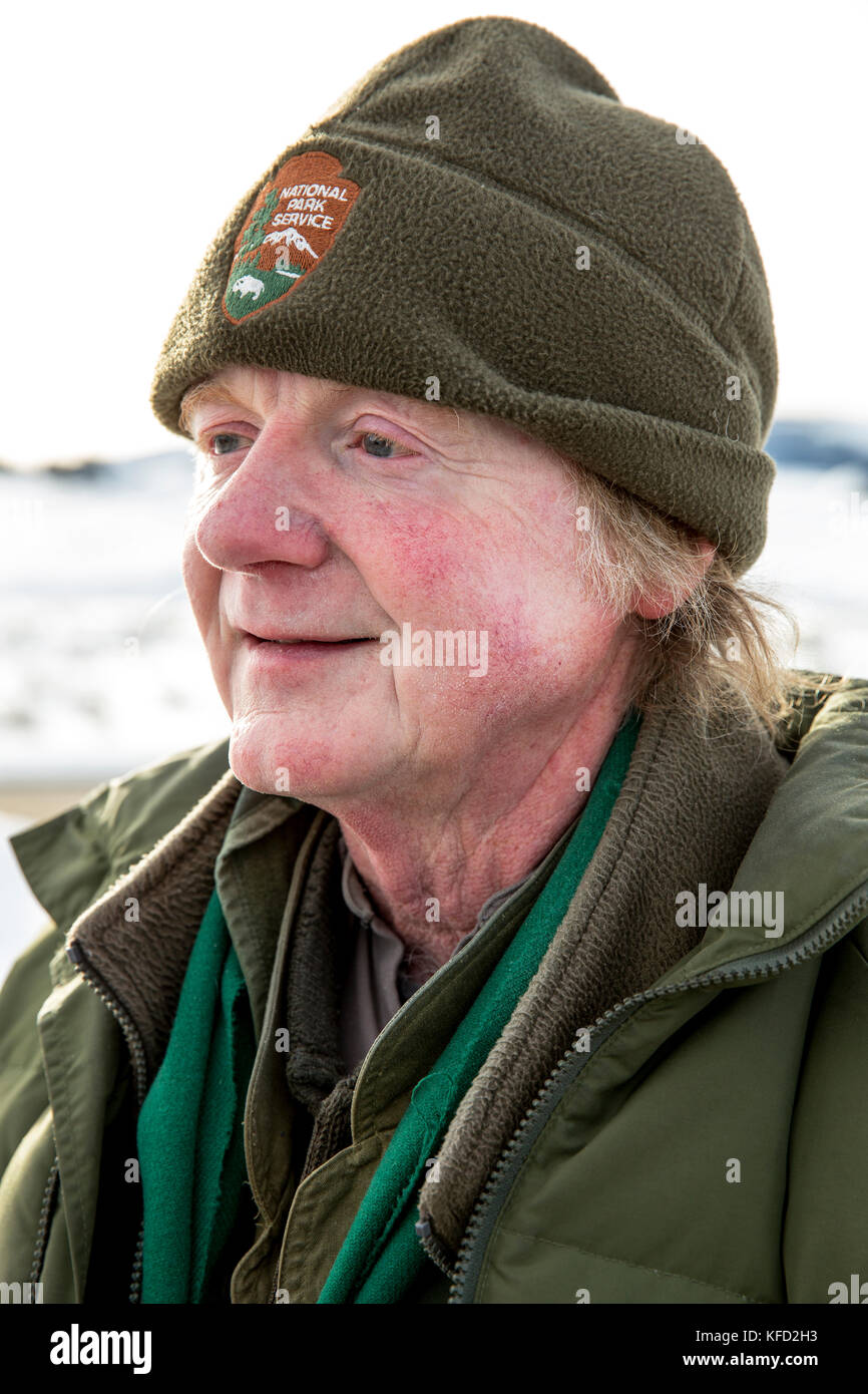 Watching wolf yellowstone hi-res stock photography and images - Alamy