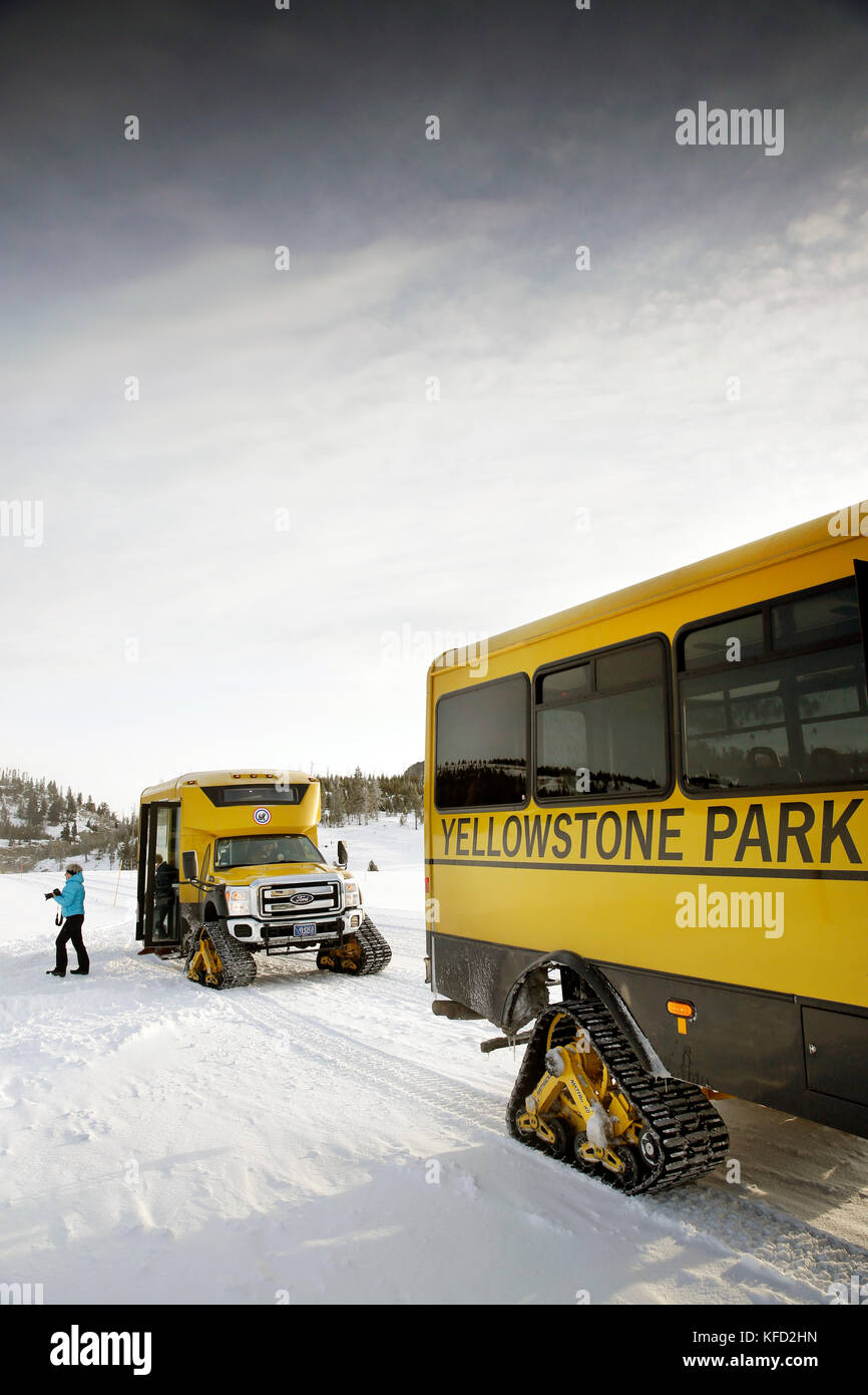 USA, Wyoming, Yellowstone National Park, Snowcoaches on the snowpacked ...