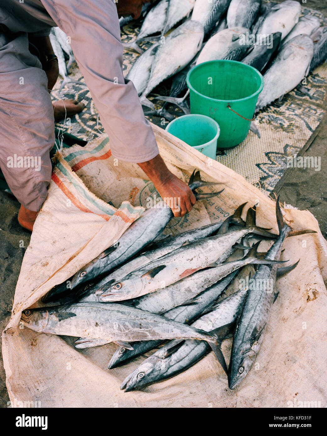 OMAN, Muscat, man picking up fish for sale at market Stock Photo - Alamy
