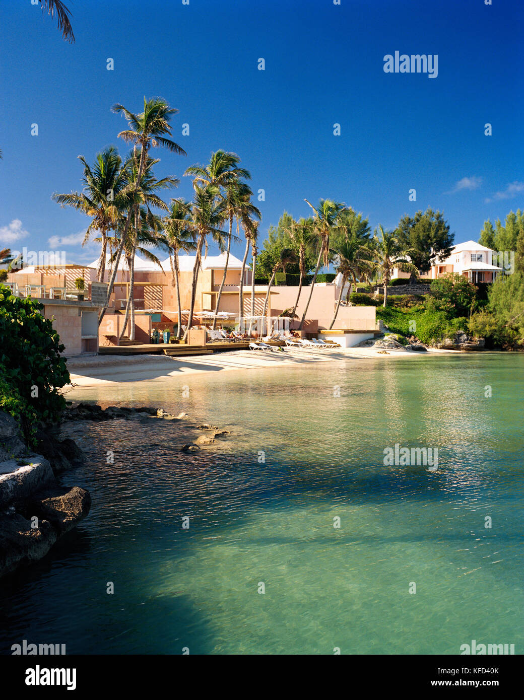 Bermuda resort palm trees hi-res stock photography and images - Alamy