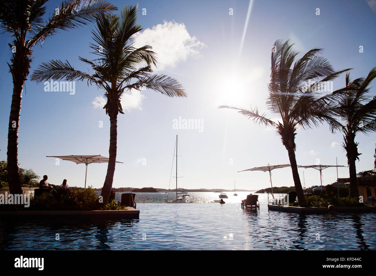 BERMUDA. The Infinity Pool at the Hamilton Princess & Beach Club Hotel ...