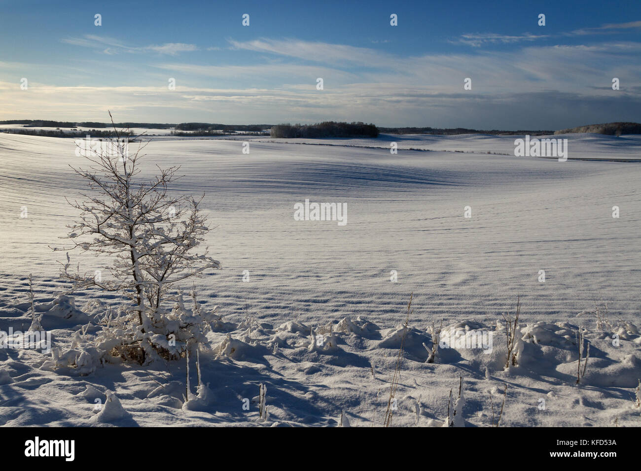 Countryside landscape in winter Stock Photo - Alamy