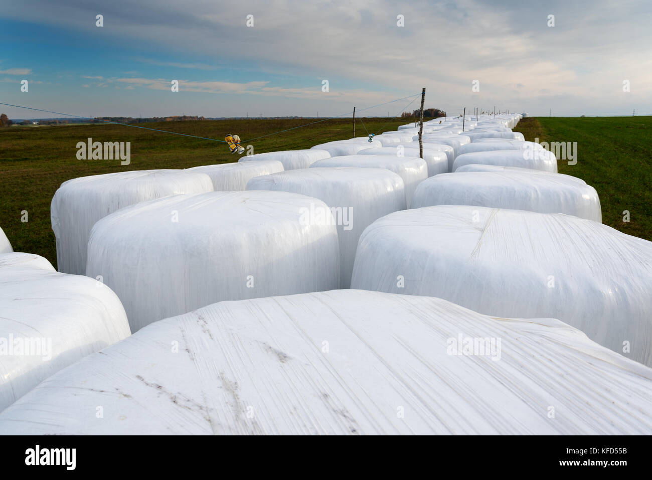 Mown Silage Field High Resolution Stock Photography and Images - Alamy