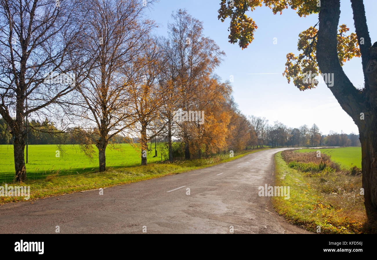 Old country road in early autumn Stock Photo - Alamy