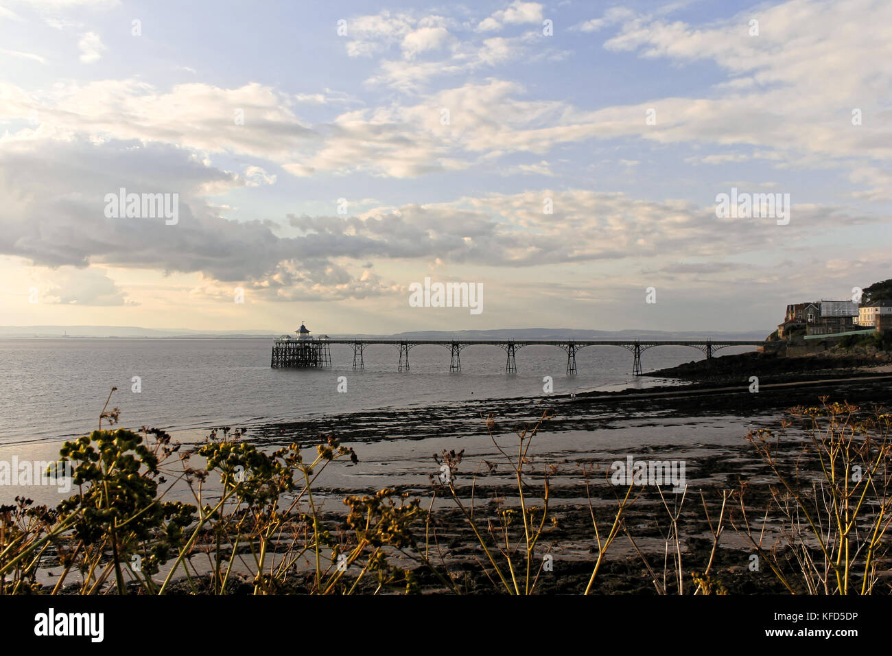 Clevedon somerset swimming hi-res stock photography and images - Alamy