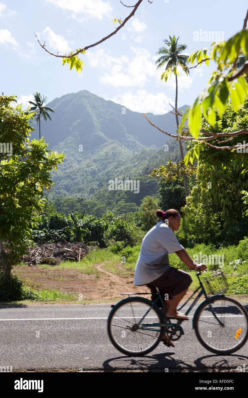 FRENCH POLYNESIA, Moorea. Local man on bicycle on Moorea Island Stock ...
