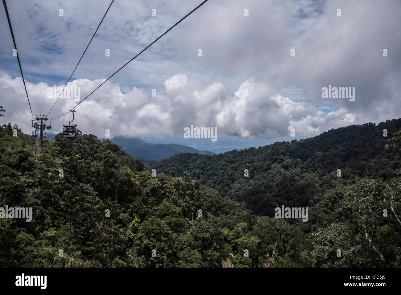 Cable car over green forest hi-res stock photography and images - Alamy