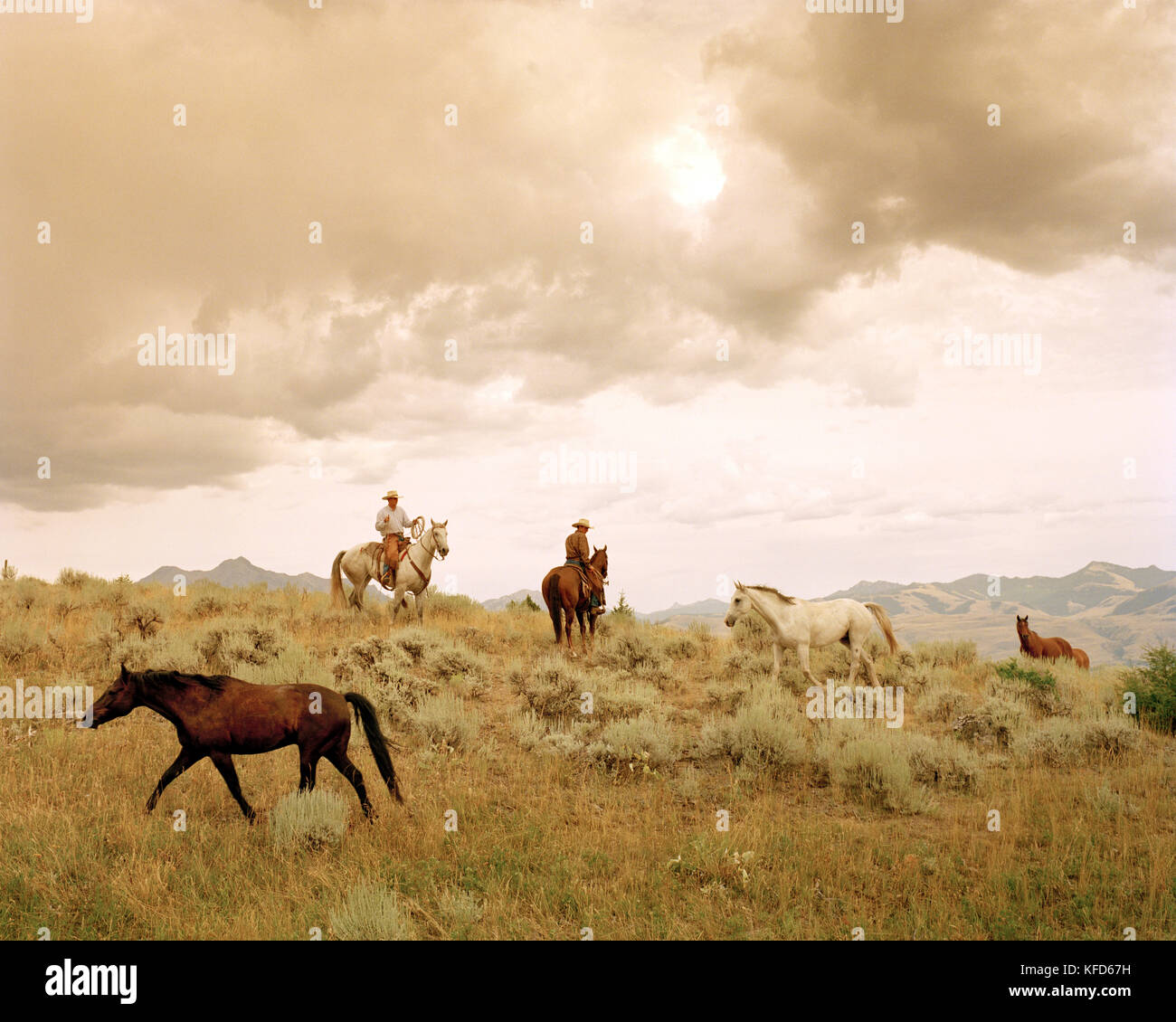 Two cowboys riding horses hi-res stock photography and images - Alamy