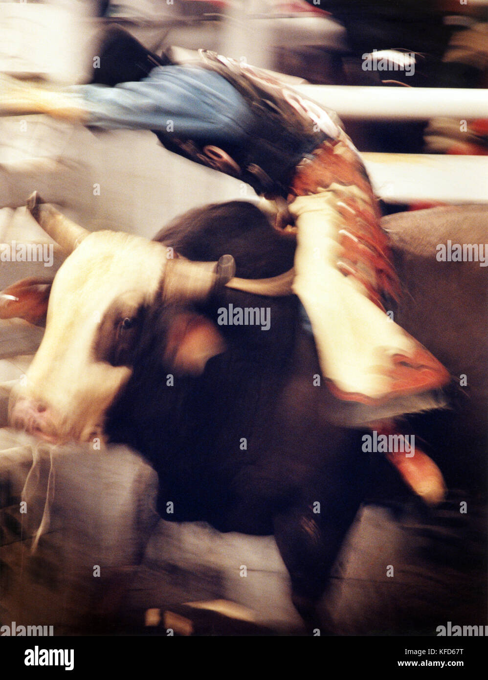 National finals rodeo vegas hi-res stock photography and images - Alamy