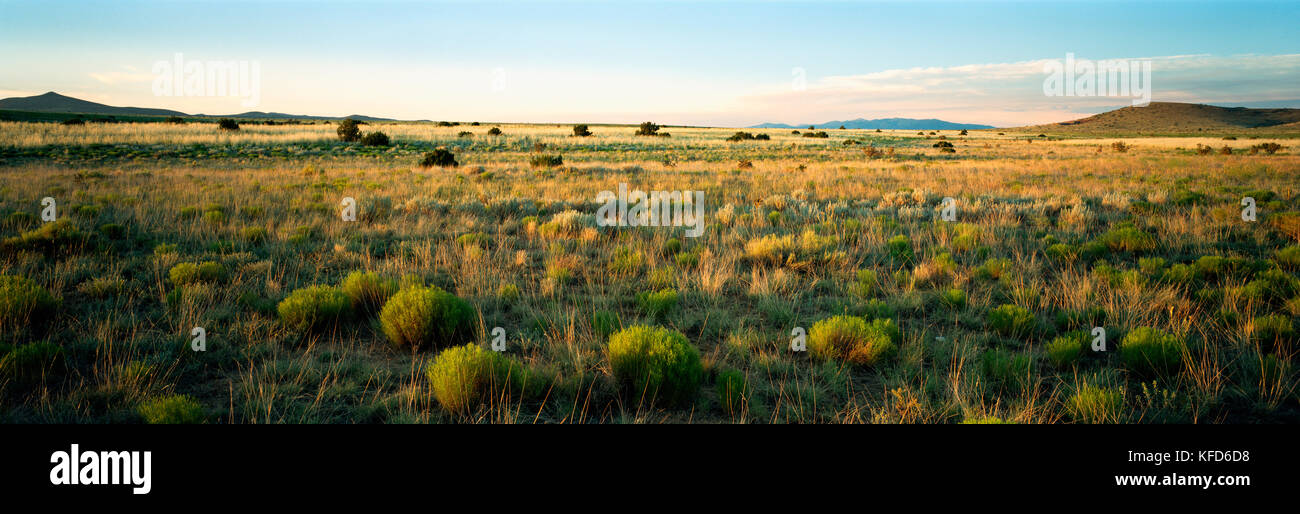 USA, New Mexico, Albuquerque, panorama landscape Stock Photo - Alamy