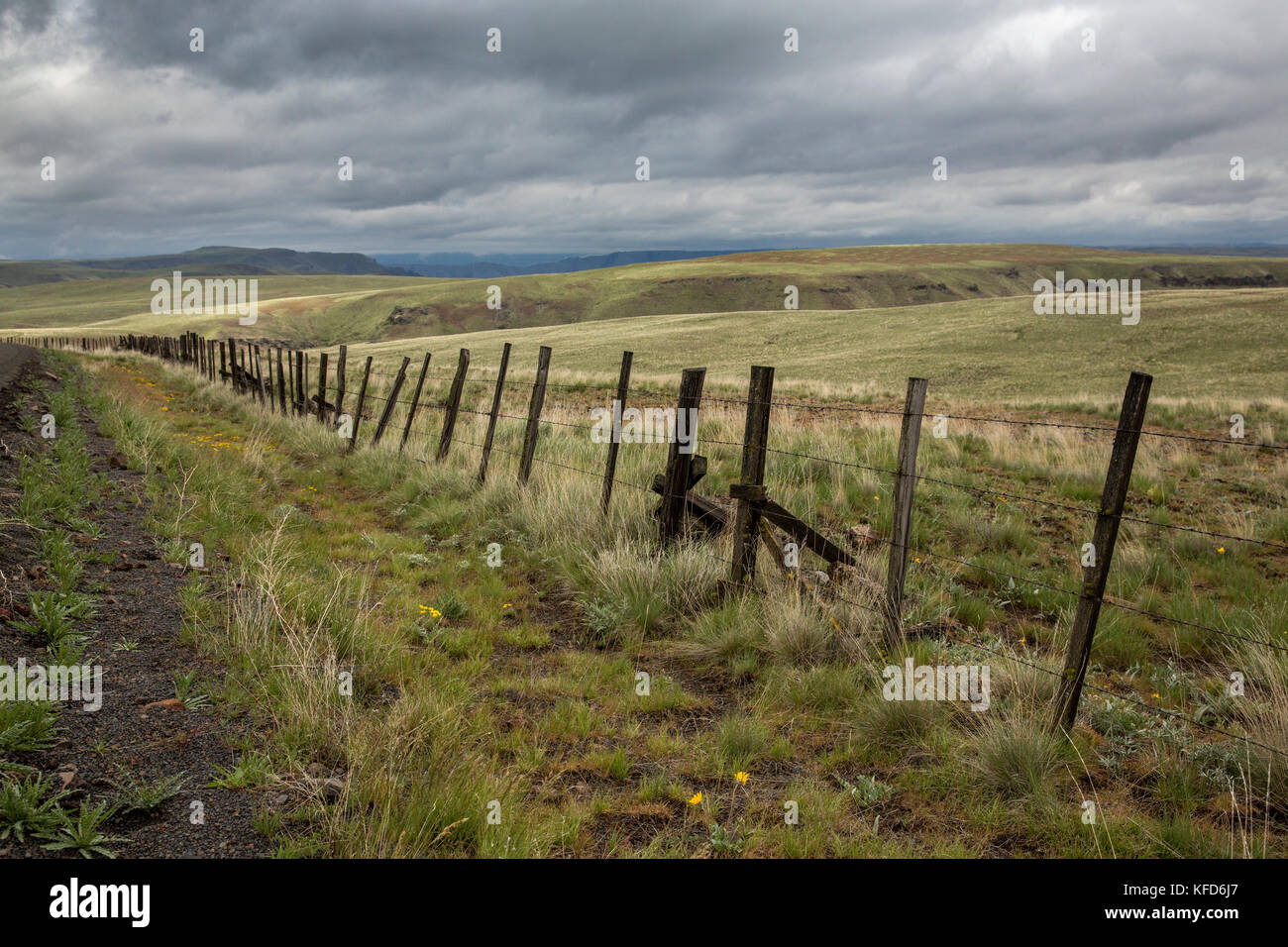USA, Oregon, Joseph, fenceline along the road that leads to the Zumwalt ...