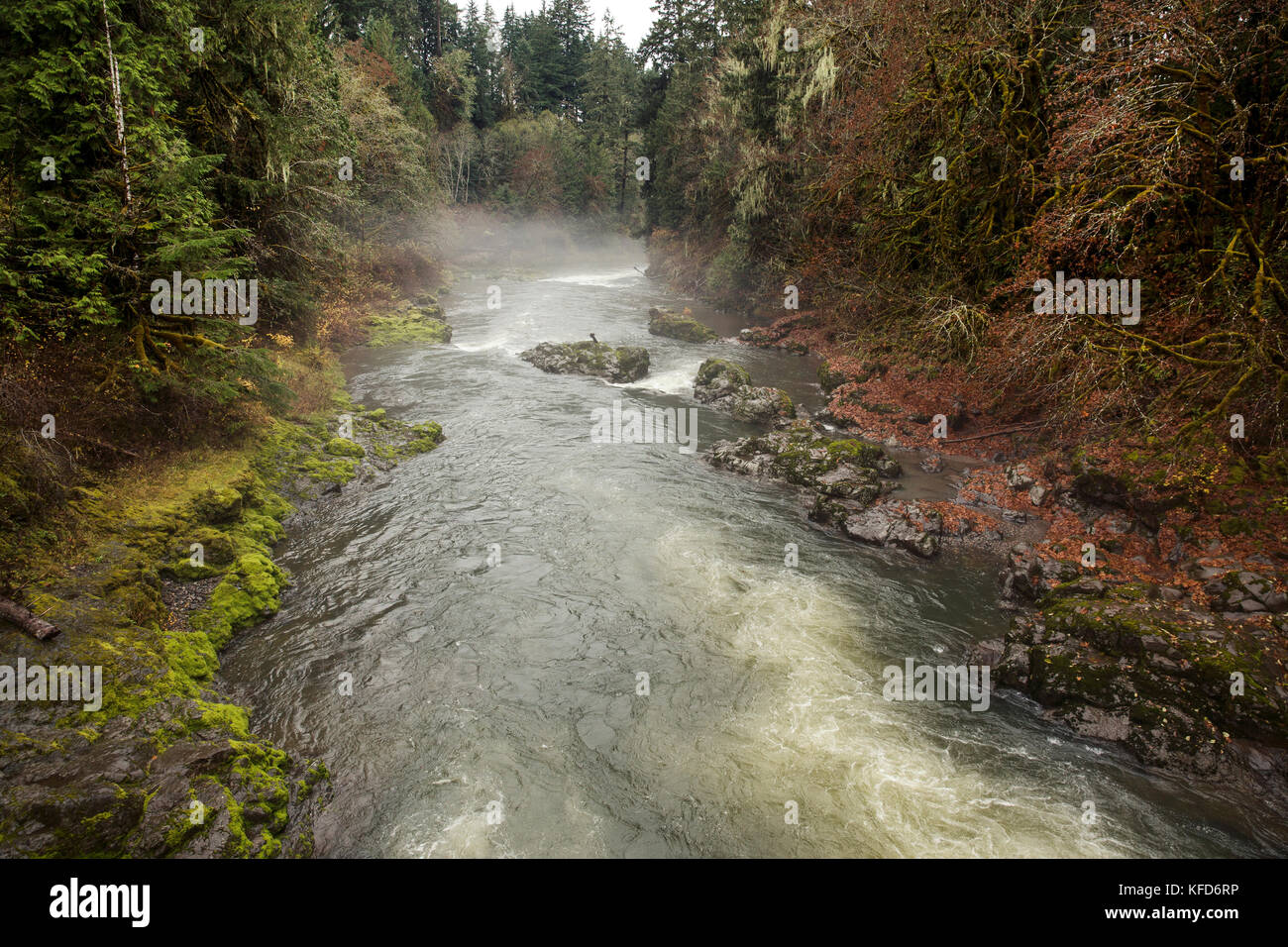 USA, Oregon, Santiam Pass, The Santiam River which is a tributary of ...