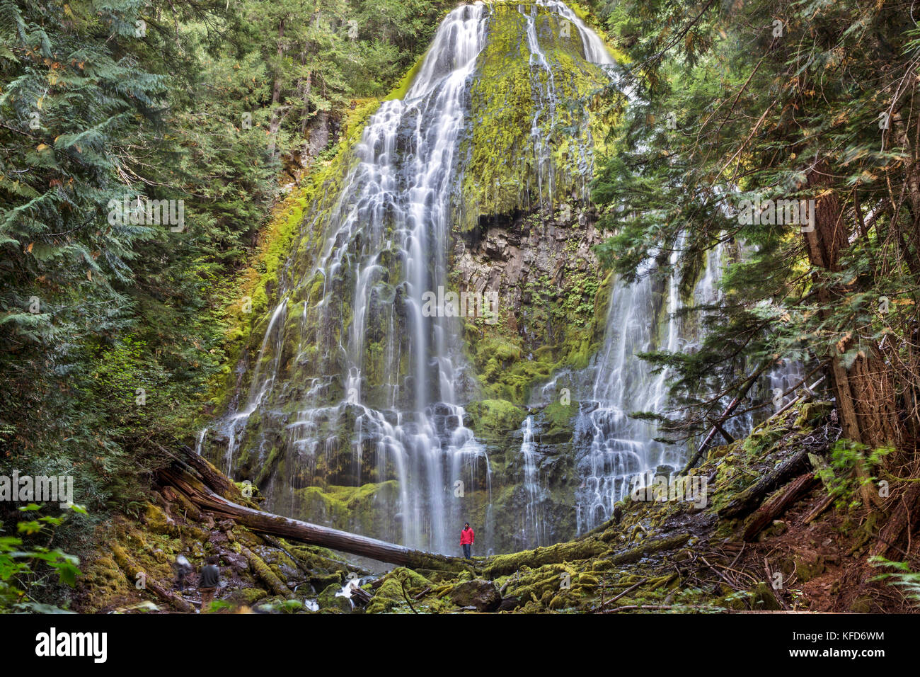 USA, Oregon, Oregon Cascades, Proxy Falls in the Wilamette National ...