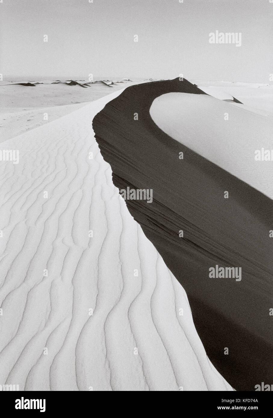 SAUDI ARABIA, sand dunes in desert, The Empty Quarter, Najran (B&W ...