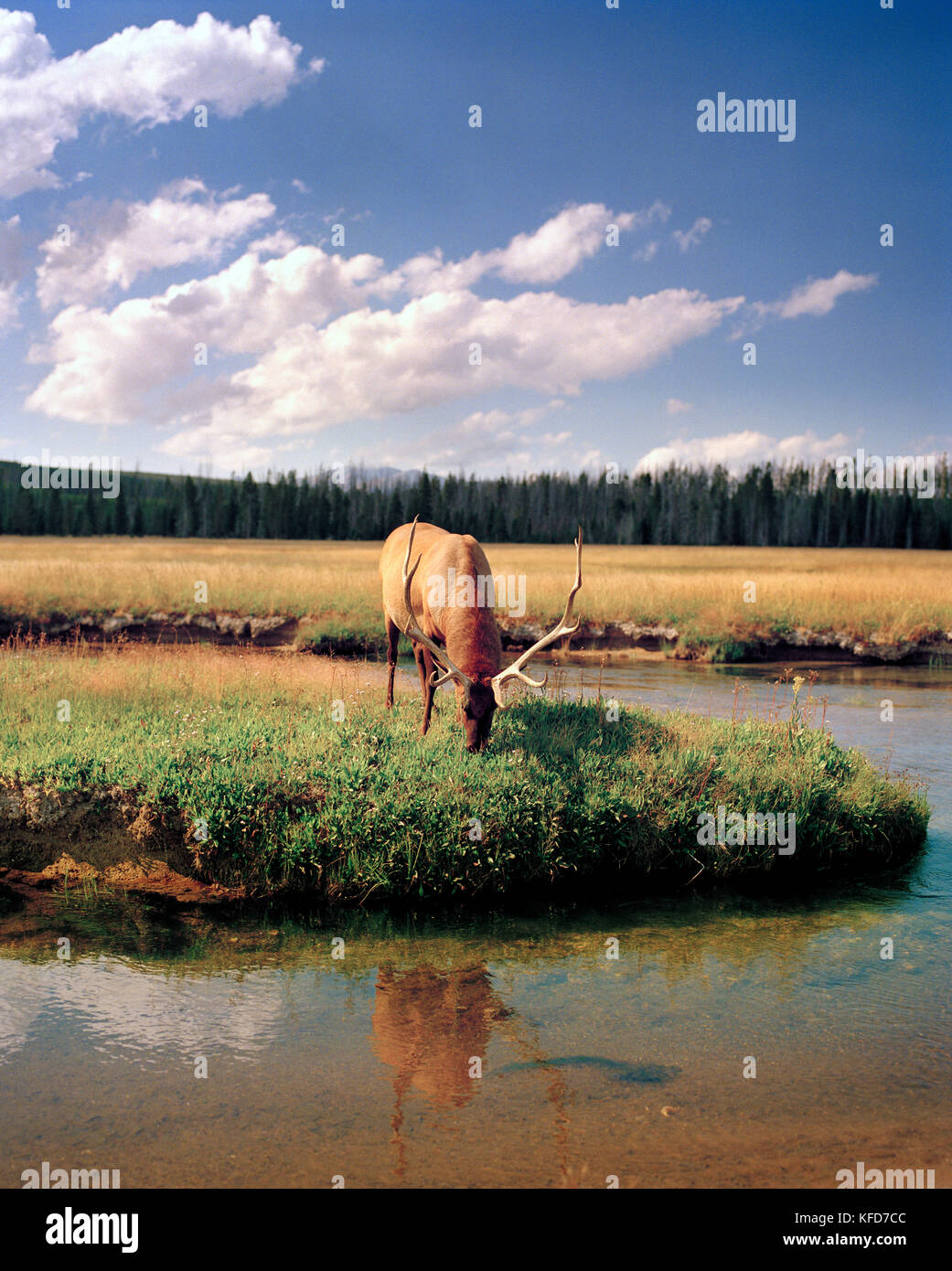 Firehole river corridor hi-res stock photography and images - Alamy