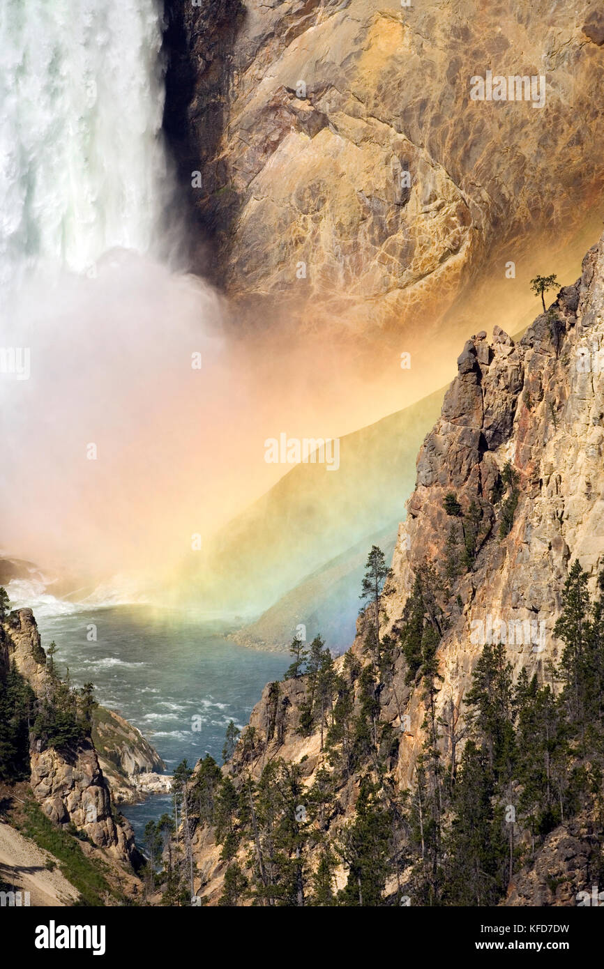 USA, Wyoming, Yellowstone Falls and River with rainbow, Yellowstone ...