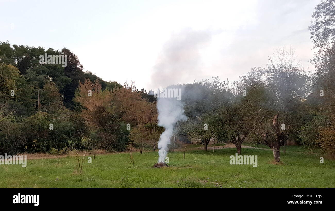 Smoky campfire left completely without supervision on green grass and ...