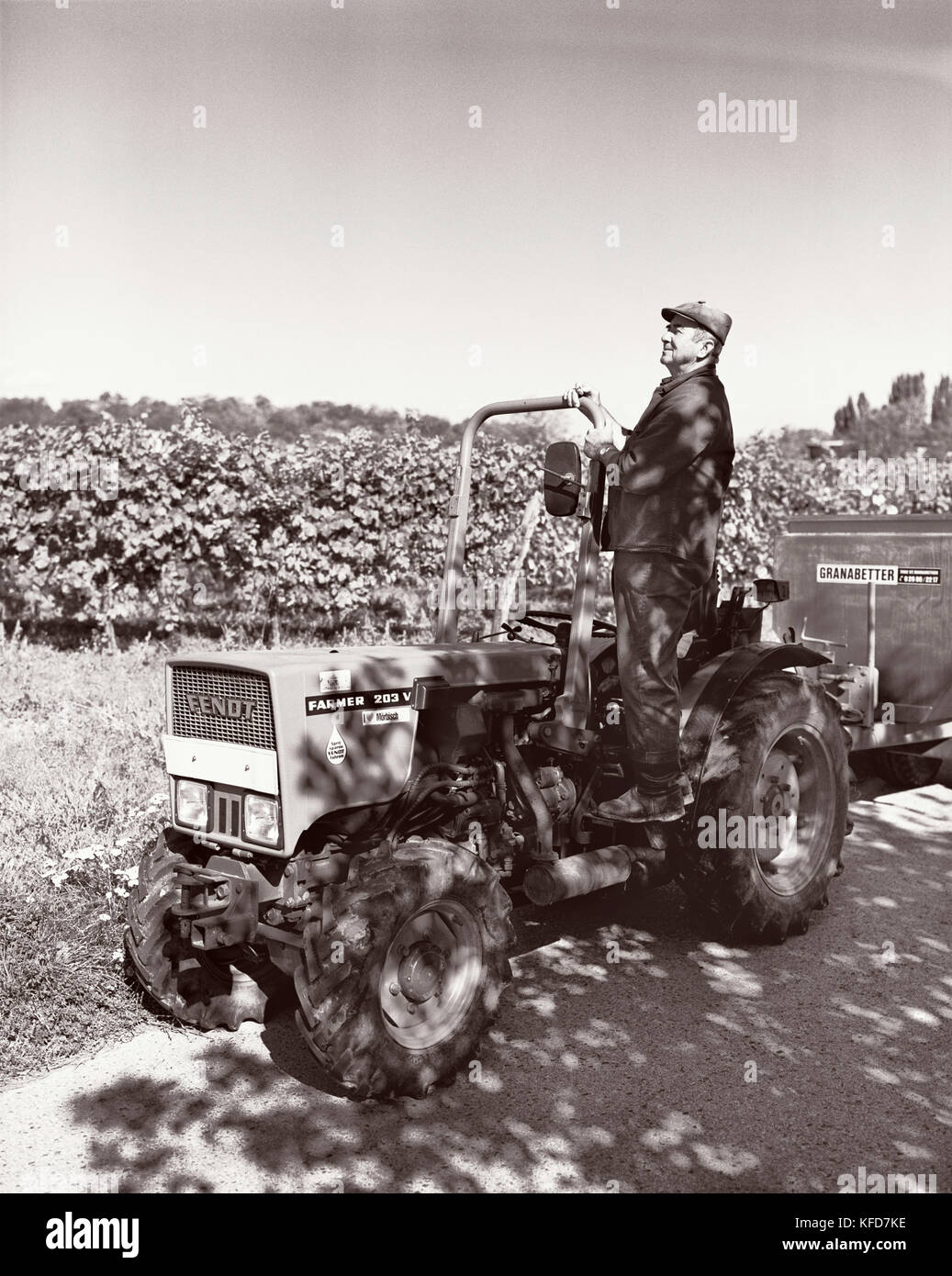 AUSTRIA, Morbisch, portrait of farmer Fischl Helmut during harvest ...