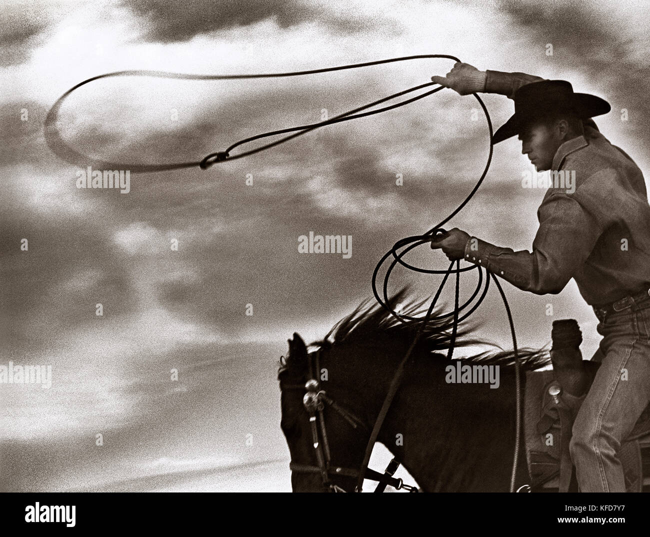 USA, California, Oxnard, Southern California, a cowboy swings his rope ...