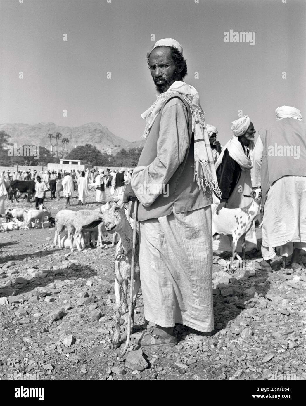 ERITREA, Karen, weekend goat market in the town of Karen (B&W Stock ...