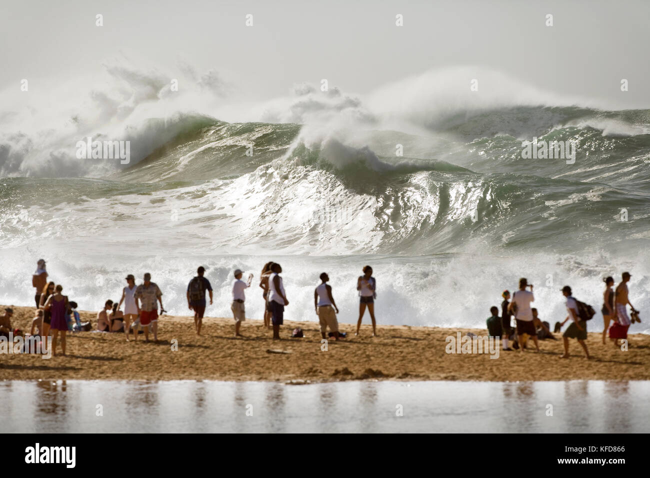 USA, Hawaii, Oahu, the North Shore, people watching enormous shorebreak ...
